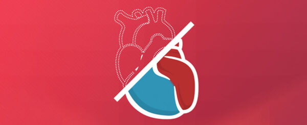 DIY Human Body – The Lawrence Hall of Science