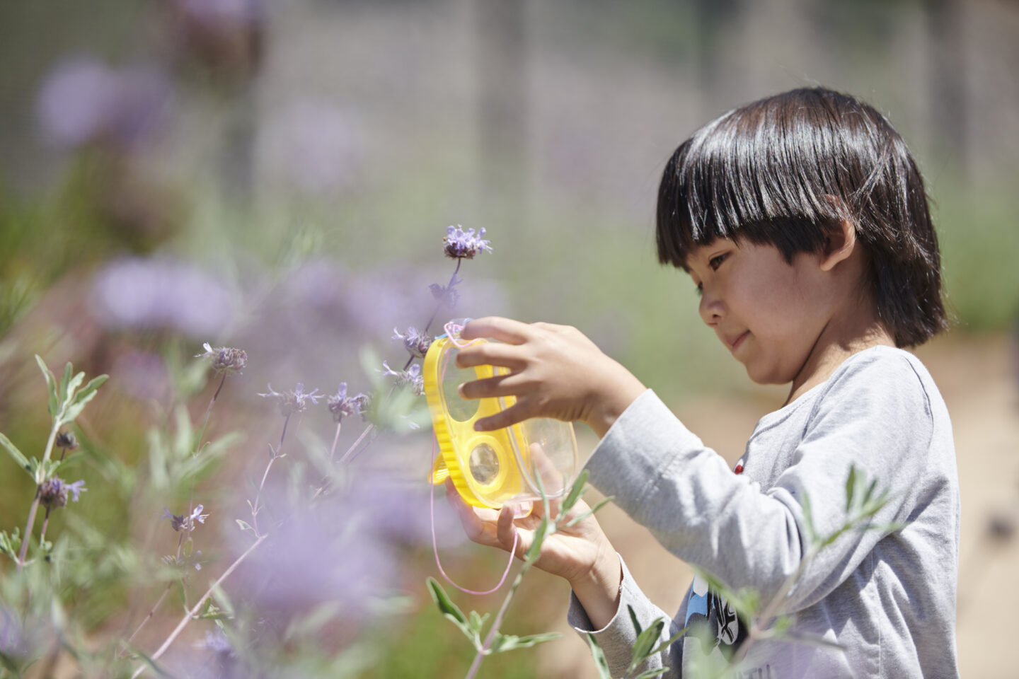 The Robert and Elizabeth Karplus Outdoor Nature Lab – The Lawrence Hall ...