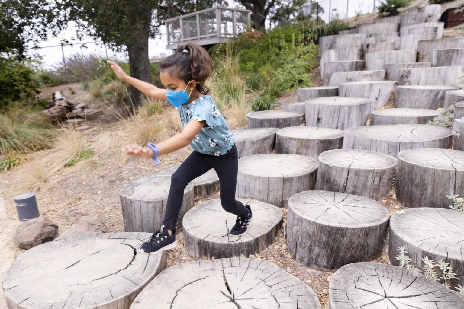 The Robert and Elizabeth Karplus Outdoor Nature Lab – The Lawrence Hall ...