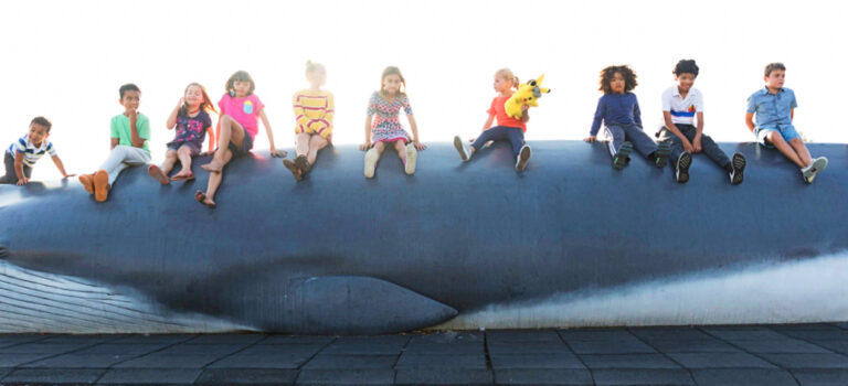 Summer is Here at The Lawrence! – The Lawrence Hall of Science