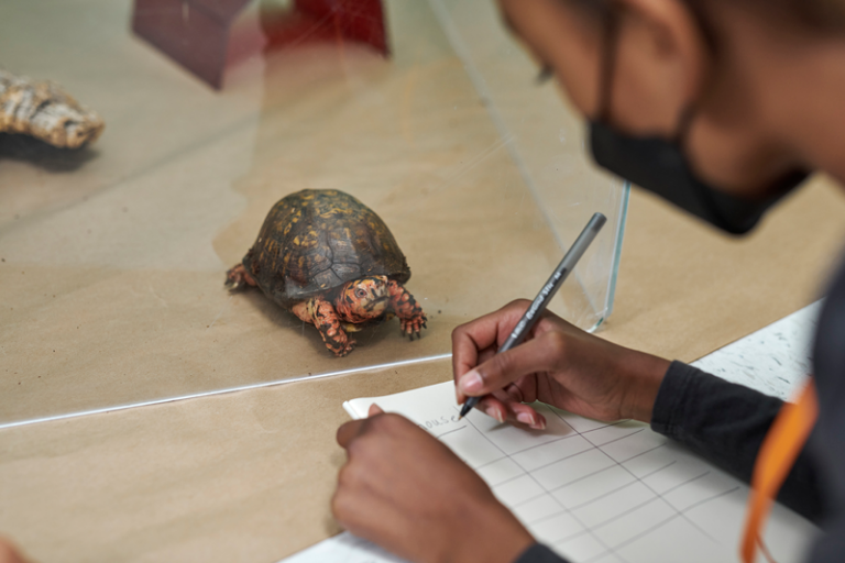 Animal Scientists – The Lawrence Hall of Science