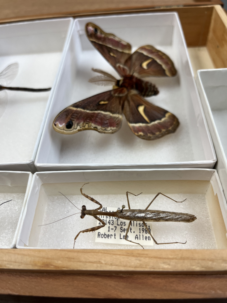 Bugtopia – The Lawrence Hall of Science