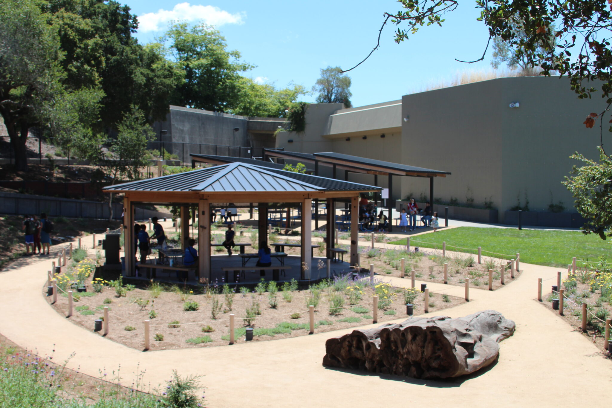 A Garden in Bloom: Reflecting on One Year of the Outdoor Nature Lab ...