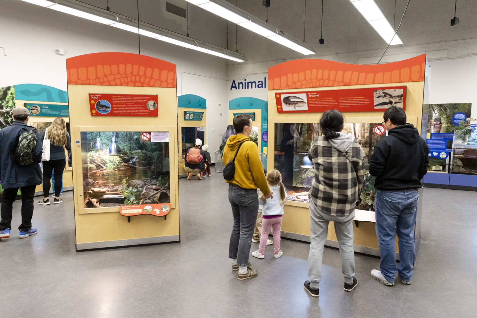 Animal Discovery Zone – The Lawrence Hall of Science