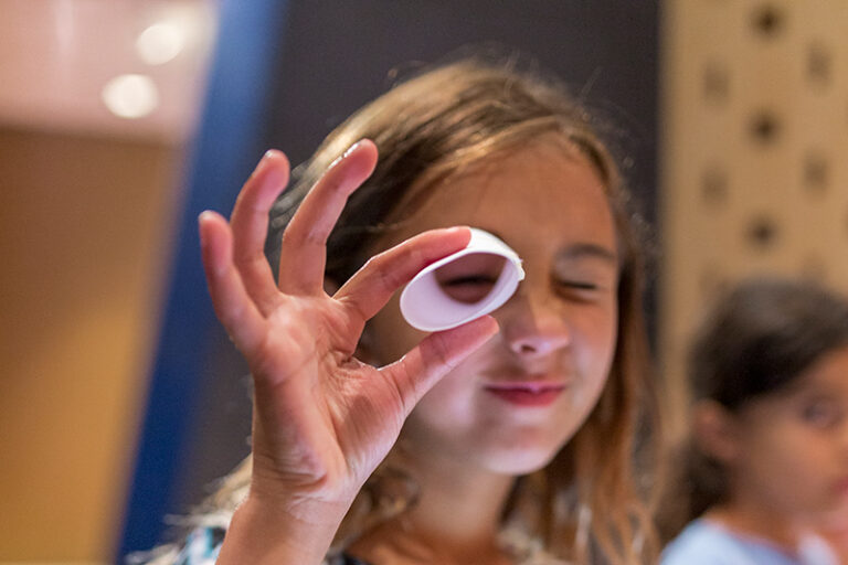 Ingenuity Challenges – The Lawrence Hall of Science