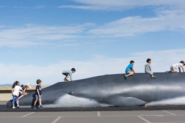 The Lawrence Hall of Science – The public science center of the ...