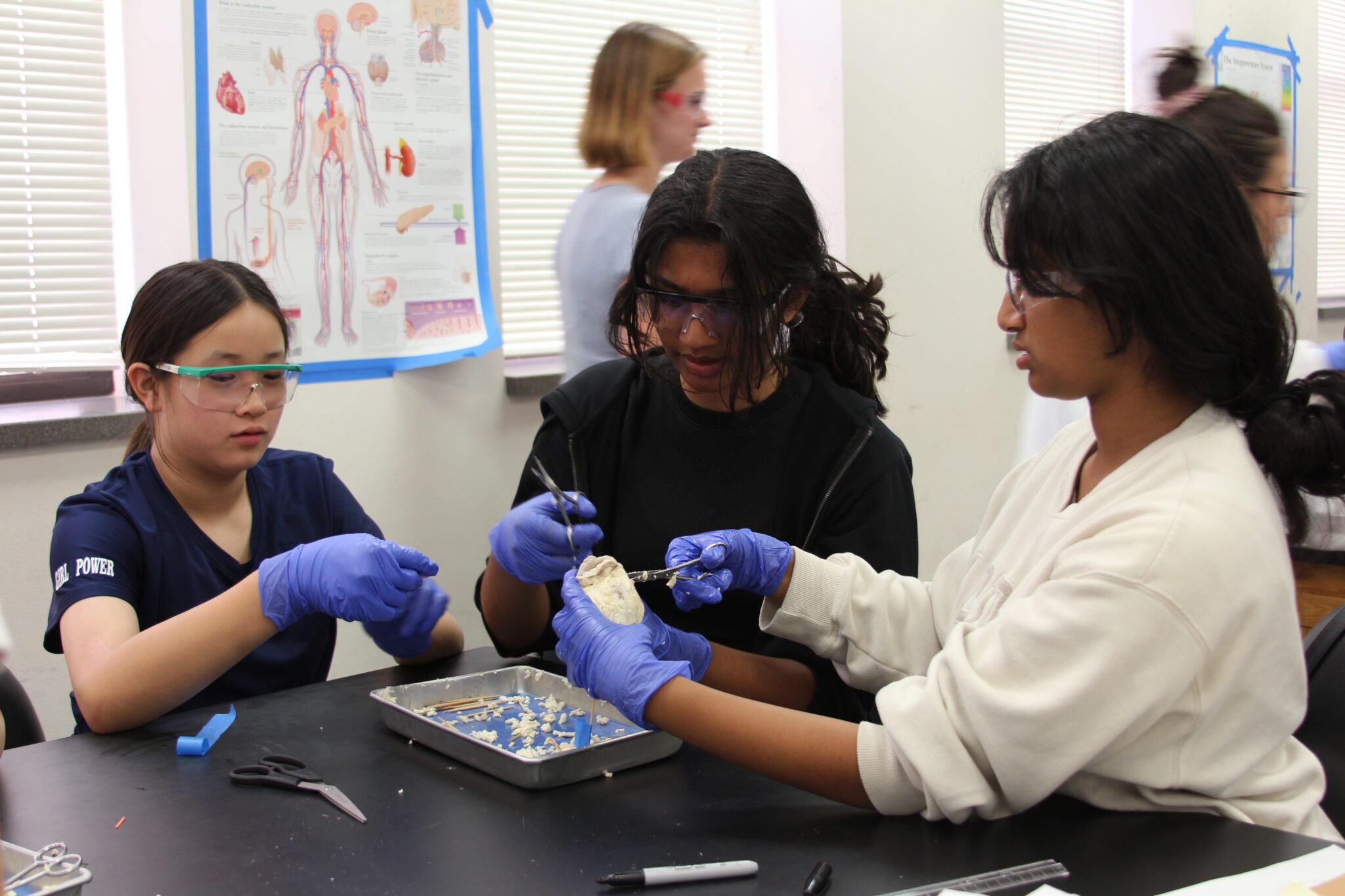 Teen Research Programs – The Lawrence Hall of Science